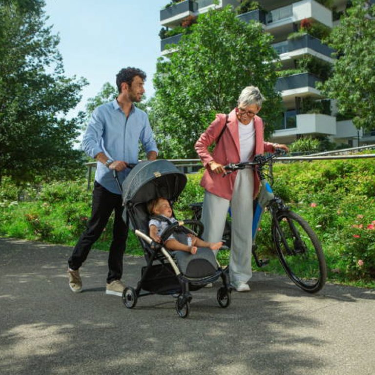 Chicco Goody Plus Stroller City Map รถเข็น - chicco